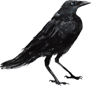 Stoic Guide | Dichotomy of Control